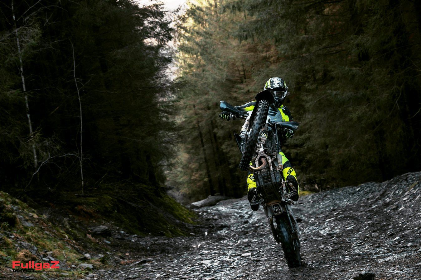 טיזר: טריומף אנדורו 250 ו-450 סמ"ק - FullgaZ