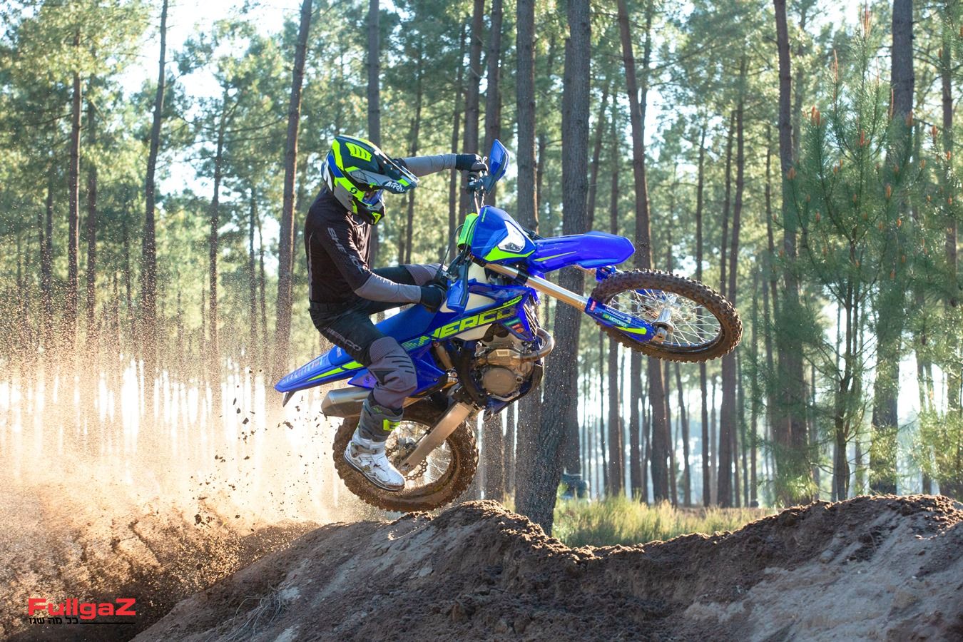 שרקו מעדכנת את מרובעי הפעימות ל-2026 - FullgaZ